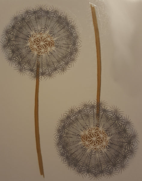Dandelion – J.T. McMaster